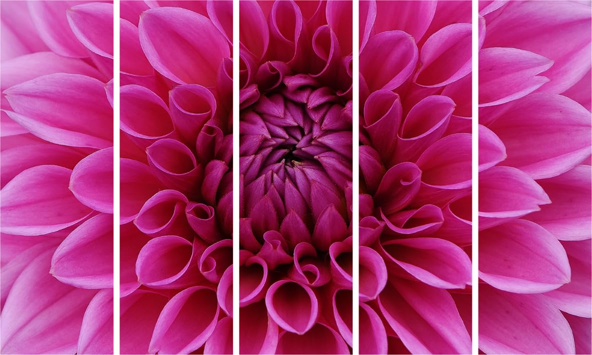 Shop Flower-tastic Multi-Frame Photography Wall Art | Moolwan