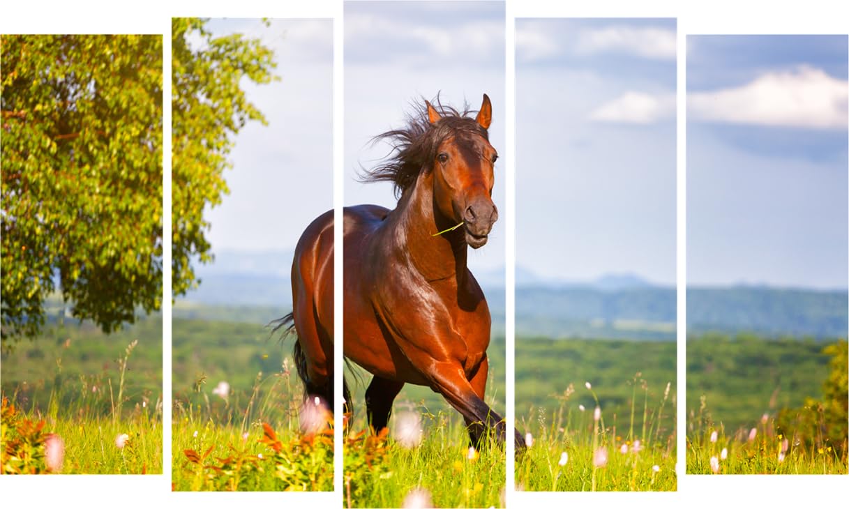 Shop Gallop Into Style: Horse-some Framed Running Horse Wall Art | Moolwan