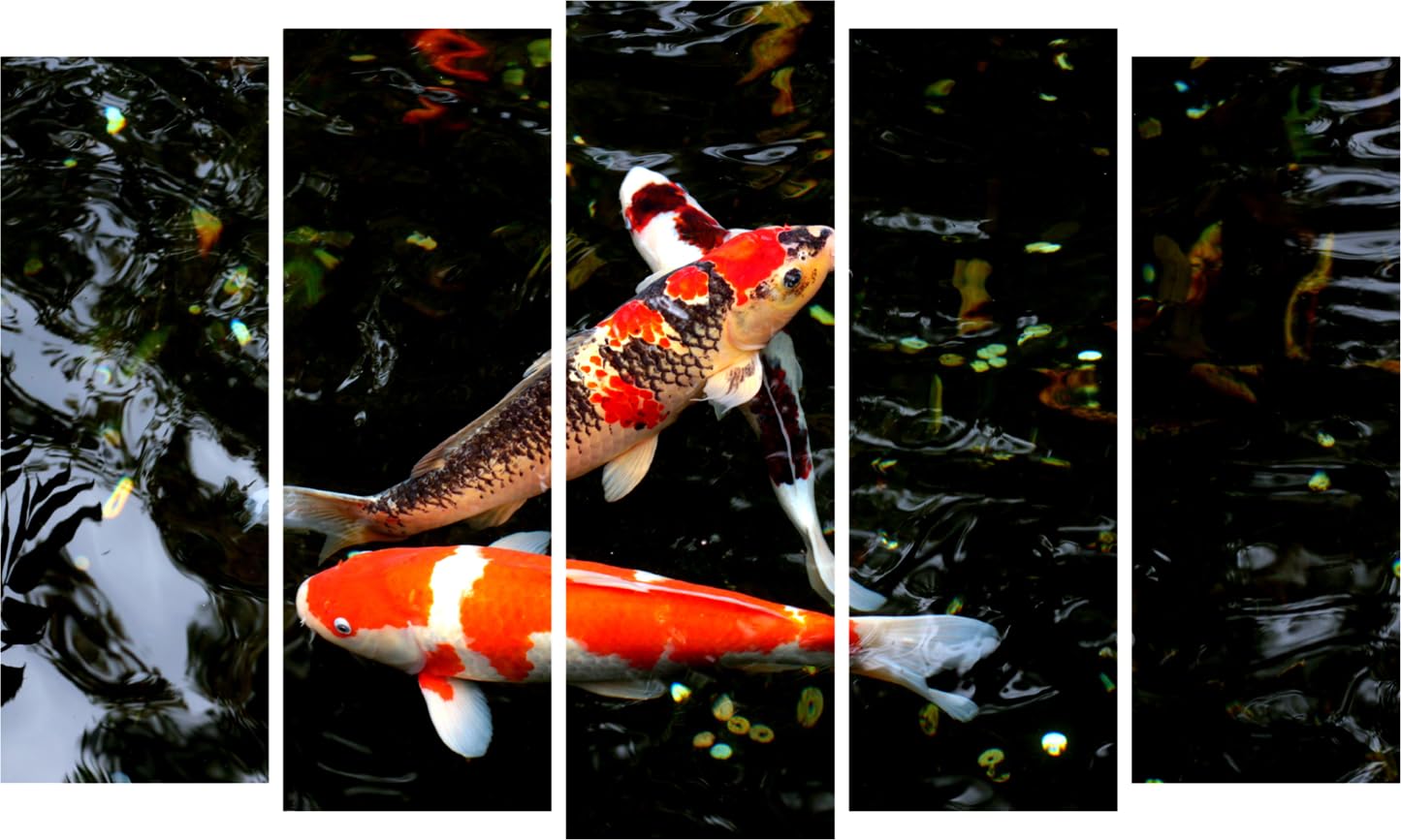 Shop Fish-tastic Framed Fish Wall Art That'll Swim Into Your Heart ...