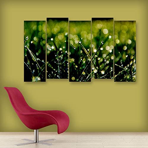 Shop Grass-tacular Multi-Frame Wall Art at Moolwan | Vibrant Framed ...
