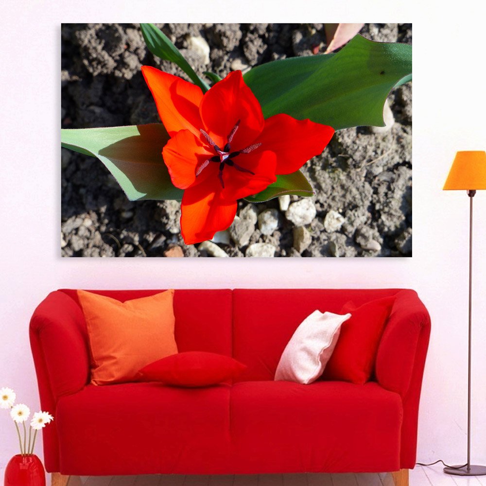 Shop Bloom-tastic Unframed Floral Canvas That'll Make Your Walls ...